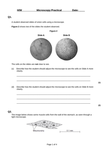 Microscopy practical (onion) GCSE HIGHER | Teaching Resources