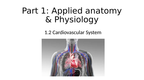 OCR A Level PE - Anatomy and Physiology Year 1 Bundle | Teaching Resources