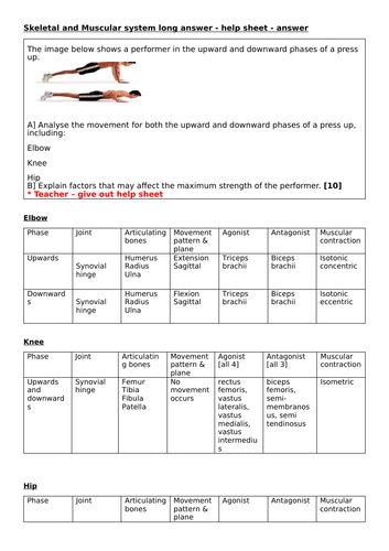 OCR A Level PE - Anatomy and Physiology Year 1 Bundle | Teaching Resources