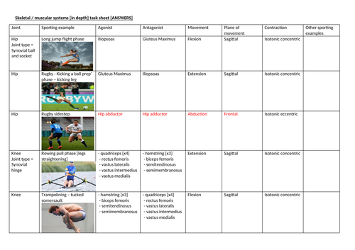 OCR A Level PE - Anatomy and Physiology Year 1 Bundle | Teaching Resources