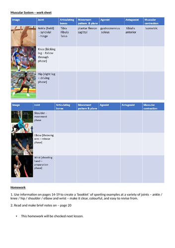 OCR A Level PE - Anatomy and Physiology Year 1 Bundle | Teaching Resources