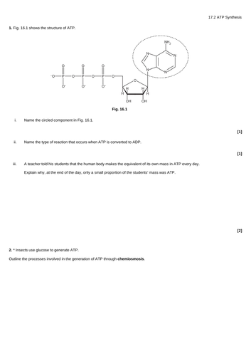 OCR Biology A- 17.2 ATP Synthesis | Teaching Resources