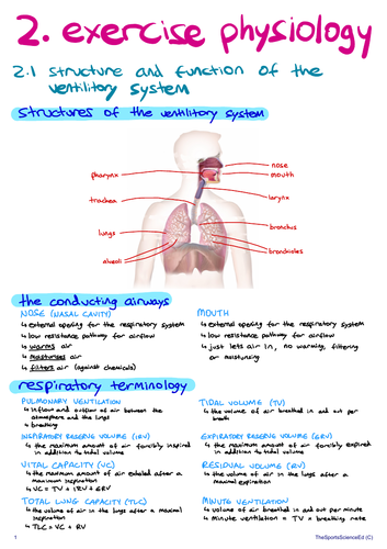 IB SEHS - Revision Notes | Teaching Resources