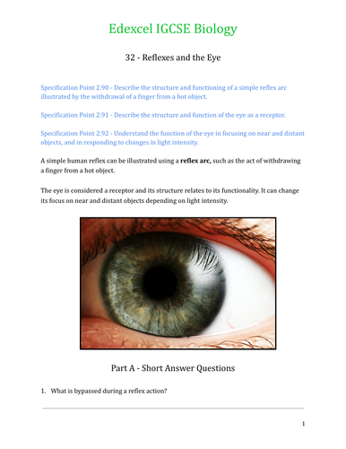 Edexcel IGCSE Biology Worksheet 32 - Reflexes and the Eye | Teaching ...