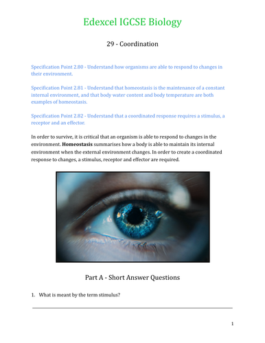 Edexcel IGCSE Biology Worksheets Chapter 4 - Coordination and Control ...