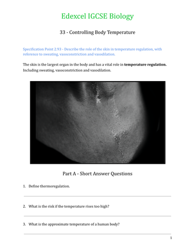 Edexcel IGCSE Biology Worksheets Chapter 4 - Coordination and Control ...