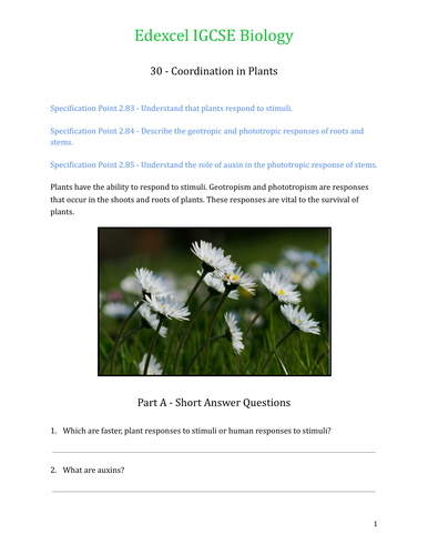 Edexcel IGCSE Biology Worksheets Chapter 4 - Coordination and Control ...
