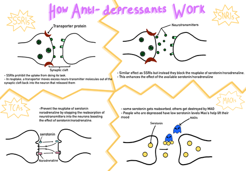 how antidepressants work- topic 3 edexcel gcse psychology | Teaching ...