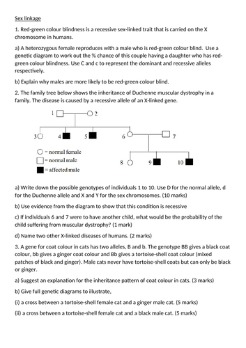 Sex Linkage A Level Biology Teaching Resources