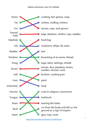 Native American Uses of Bison | Teaching Resources