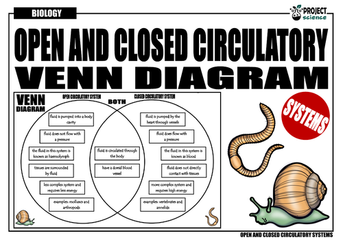 Circulatory System [Open and Closed] Venn Diagram | Teaching Resources