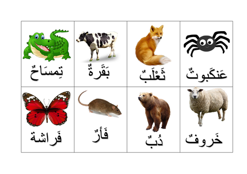 Arabic Animal Flashcards | Teaching Resources