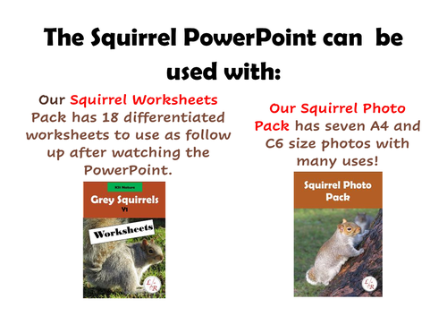 Squirrel PowerPoint EYFS/Y1 Autumn Winter Science Animals | Teaching ...