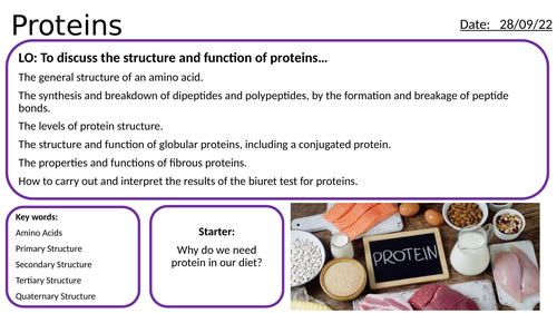 AS/A2-Level AQA Biology Structure and Types of Protein Amino Acids ...