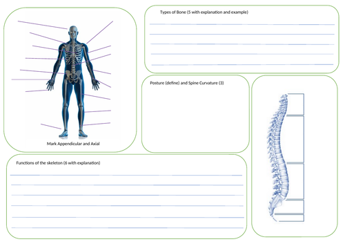 VCERT NCFE Health and Fitness Mind Maps (Unit 1 revision) | Teaching ...