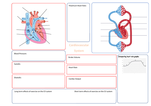 VCERT NCFE Health and Fitness Mind Maps (Unit 1 revision) | Teaching ...