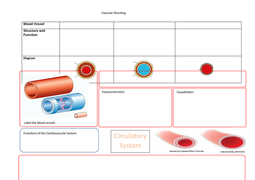 VCERT NCFE Health and Fitness Mind Maps (Unit 1 revision) | Teaching ...