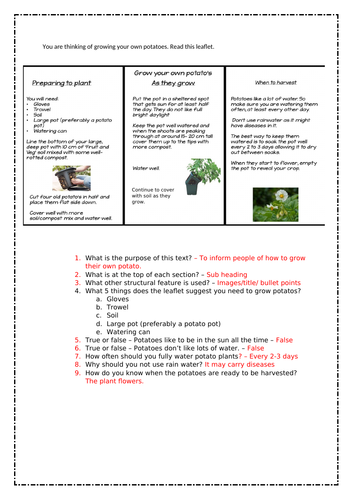 F/S How to grow potatoes leaflet comprehension | Teaching Resources