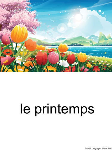 Les Saisons - Seasons in French | Teaching Resources