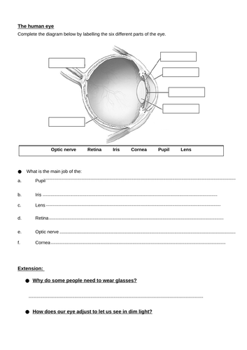 KS3 physics speed of light and how we see, eye structure | Teaching ...