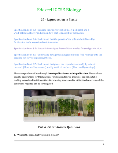 Edexcel IGCSE Biology Worksheets Chapter 5 - Reproduction and ...