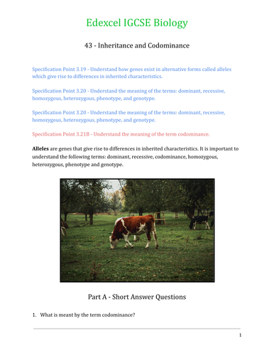 Edexcel IGCSE Biology Worksheets Chapter 5 - Reproduction and ...