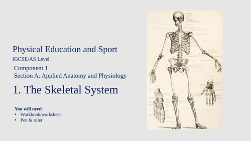 iGCSE PE: 1. A&P: Skeleton and Joints | Teaching Resources