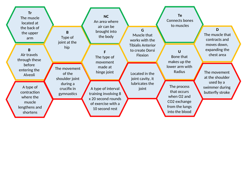 iGCSE PE: 1. A&P: Muscles | Teaching Resources