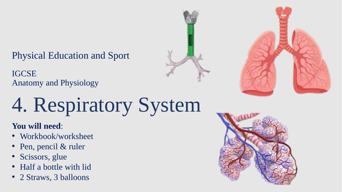 iGCSE PE: 1. A&P: Respiratory system | Teaching Resources