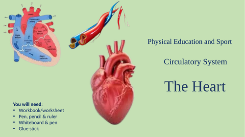 iGCSE PE: 1. A&P: Blood, circulatory and the heart | Teaching Resources