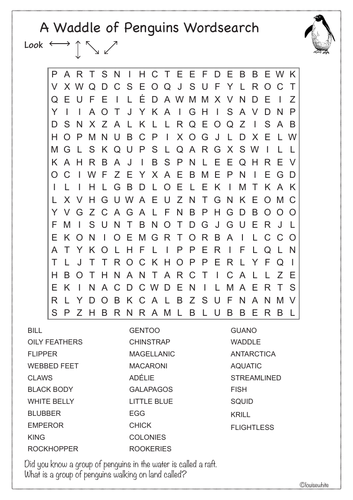 Penguin Wordsearch | Teaching Resources