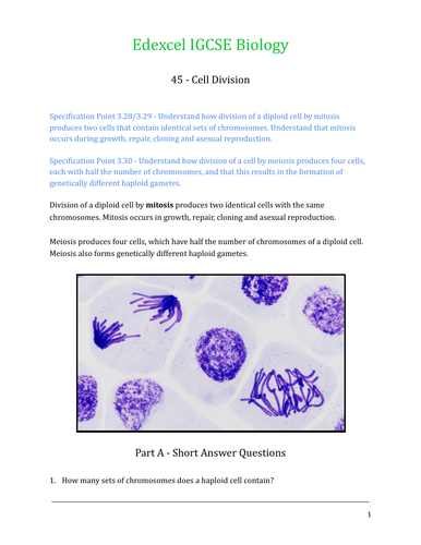 Edexcel IGCSE Biology Worksheet 45 - Cell Division | Teaching Resources Edexcel IGCSE Biology Worksheet 45 - Cell Division | Teaching Resources