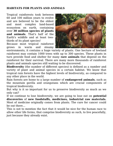 Rainforests, KS3 Geography (complete unit) | Teaching Resources