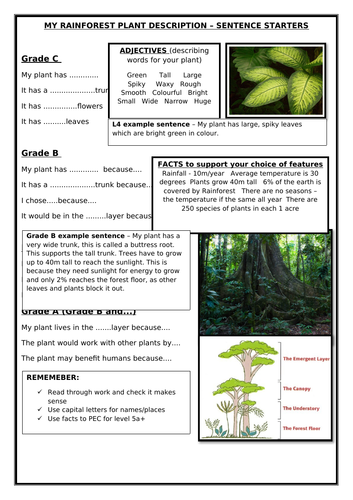 Rainforests, KS3 Geography (complete unit) | Teaching Resources
