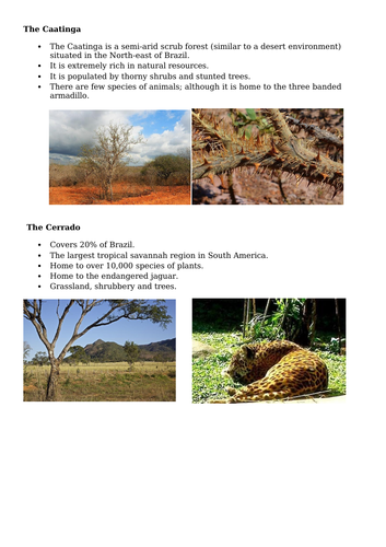 Rainforests, KS3 Geography (complete unit) | Teaching Resources