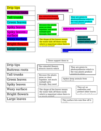 Rainforests, KS3 Geography (complete unit) | Teaching Resources