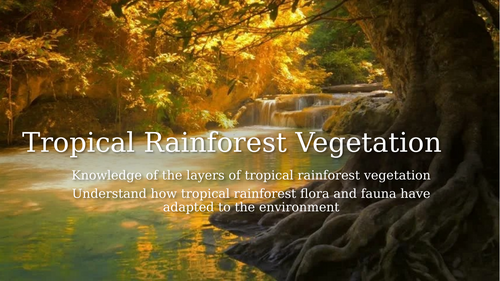 Rainforests, KS3 Geography (complete unit) | Teaching Resources