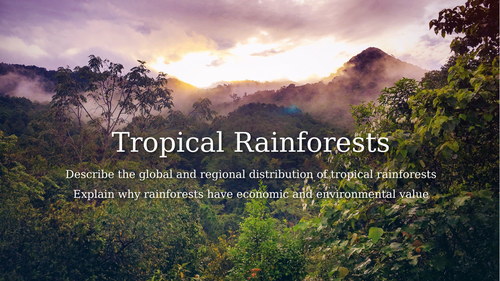 Rainforests, KS3 Geography (complete unit) | Teaching Resources