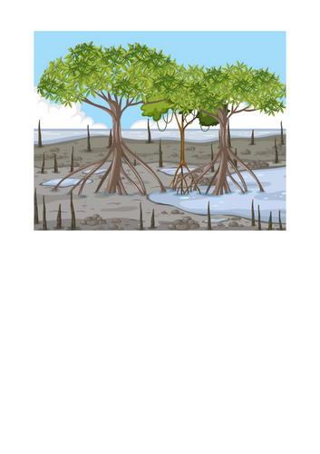 Coastal Environments, International A Level Geography, Cambridge CIE ...