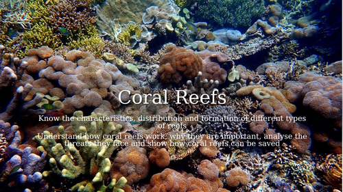 Coastal Environments, International A Level Geography, Cambridge CIE ...