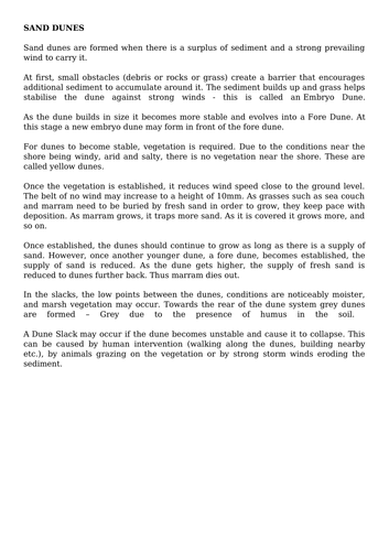 Coastal Environments, International A Level Geography, Cambridge CIE ...