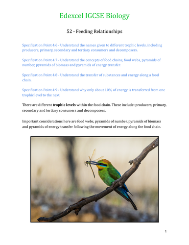 Edexcel IGCSE Biology Lesson 52 - Feeding Relationships | Teaching ...