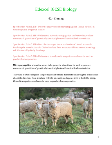 Edexcel IGCSE Biology Worksheet 62 - Cloning | Teaching Resources Edexcel IGCSE Biology Worksheet 62 - Cloning | Teaching Resources