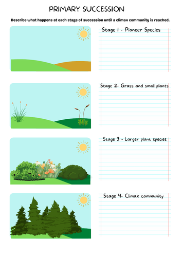 Primary Succession Worksheet | Teaching Resources