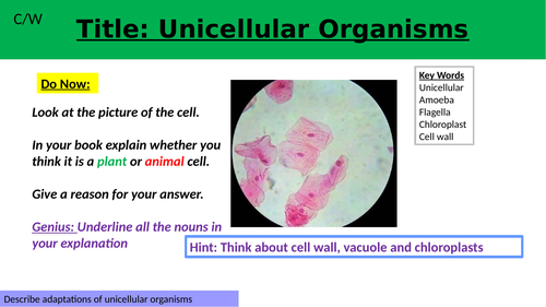 Unicellular Organisms | Teaching Resources
