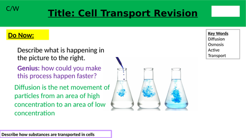 Movement in cells revision lesson | Teaching Resources