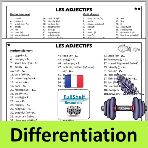French Adjectives Les Adjectifs Activity | Teaching Resources