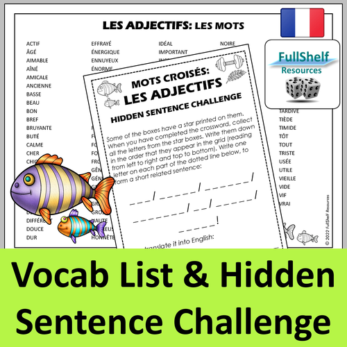 French Adjectives Les Adjectifs Activity | Teaching Resources