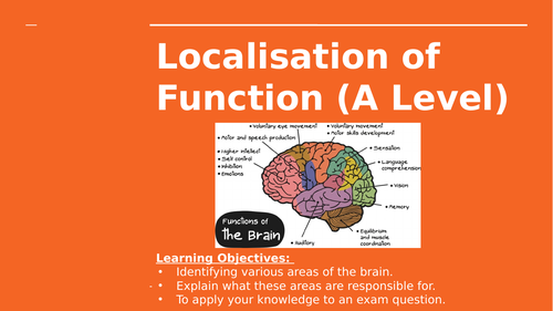 AQA Biopsychology Localisation of the Brain AO1 | Teaching Resources