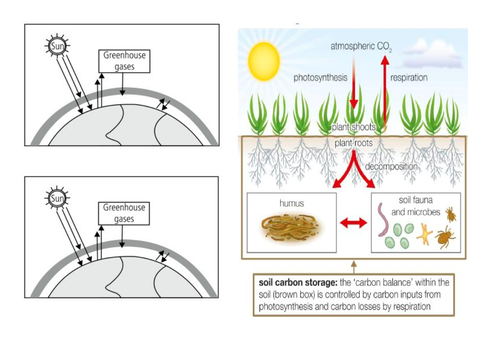 6-7 – A Balanced Carbon Cycle (The Carbon Cycle and Energy Security ...